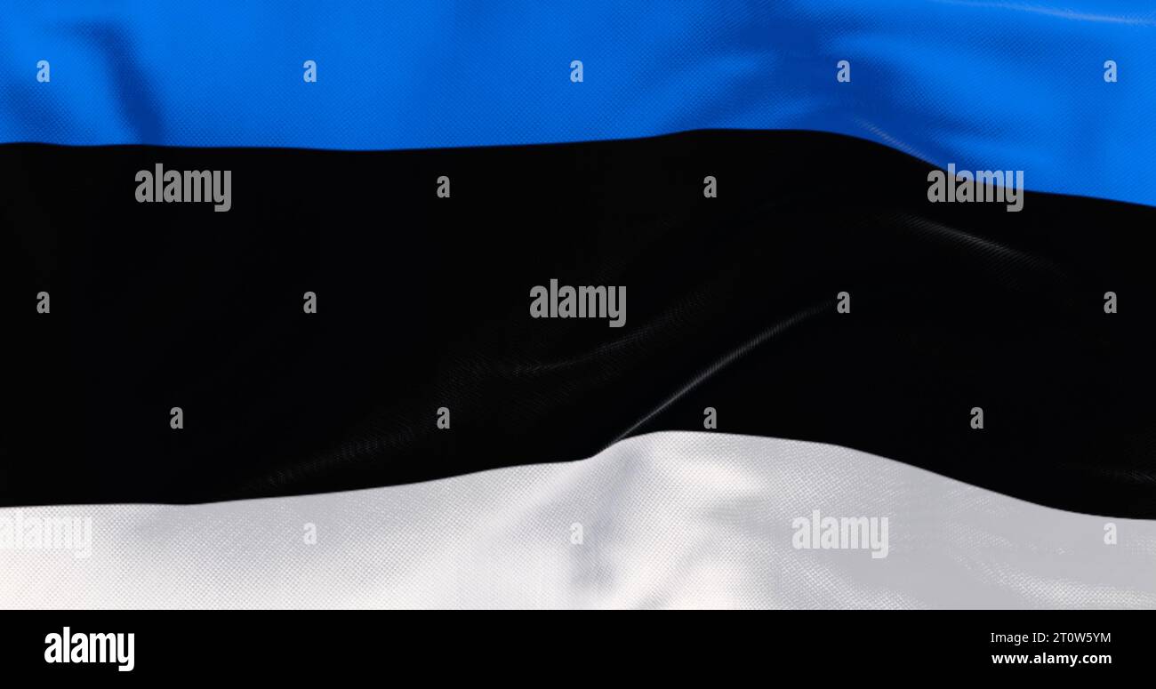 Close-up of National flag of Estonia waving in the wind. Three equal ...