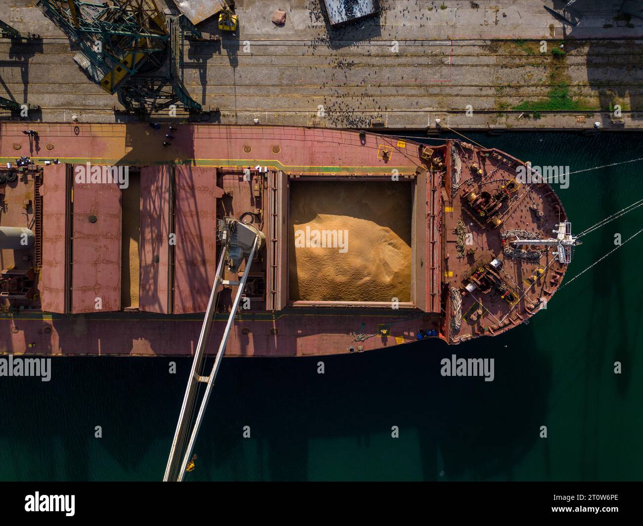cargo ship or bulk carrier loaded to the brim with grain is preparing ...