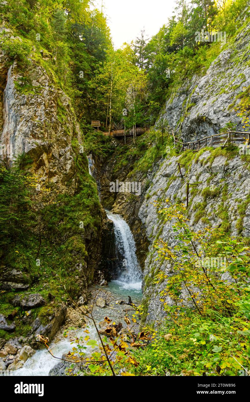 Wolfsklamm gorge in Austria a rock in autumn waterfall Stock Photo - Alamy