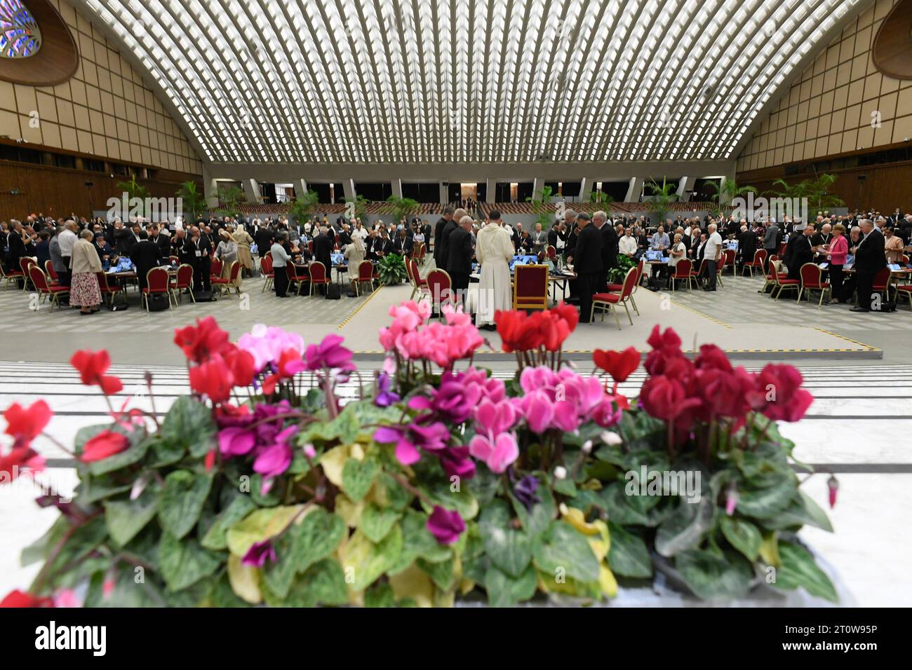 Which has two big roles photo hi-res stock photography and images - Alamy