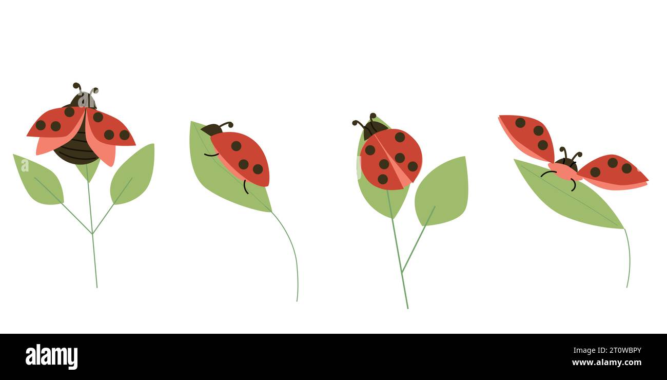 set of red bugs and beetles on green leaves Stock Vector Image & Art ...