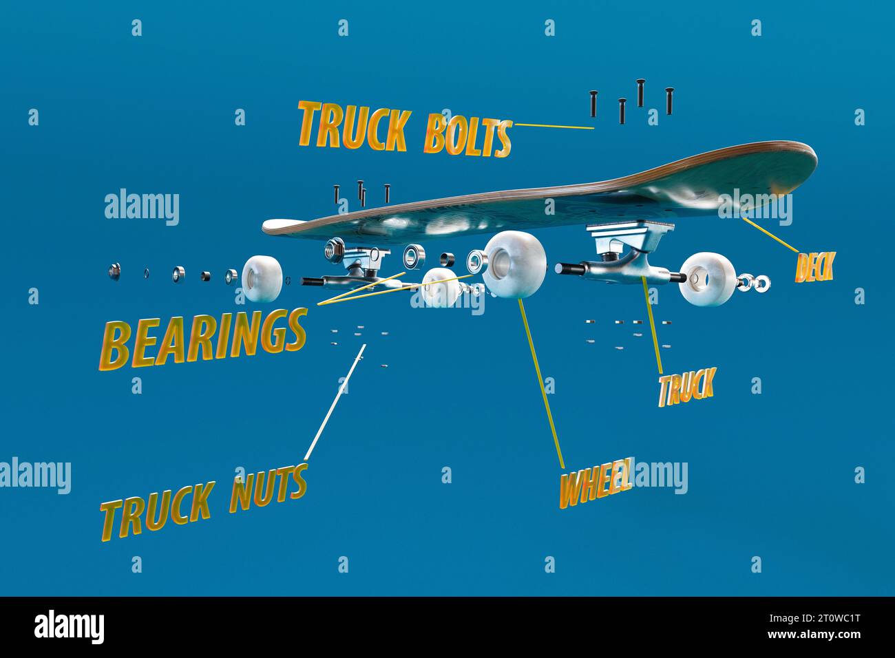 Skateboard Trucks Parts Names at Deloris Colvin blog