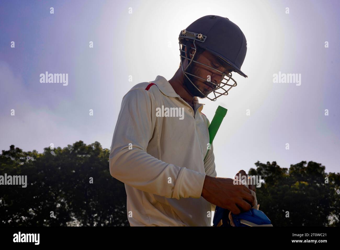 Cricket walking hi-res stock photography and images - Alamy