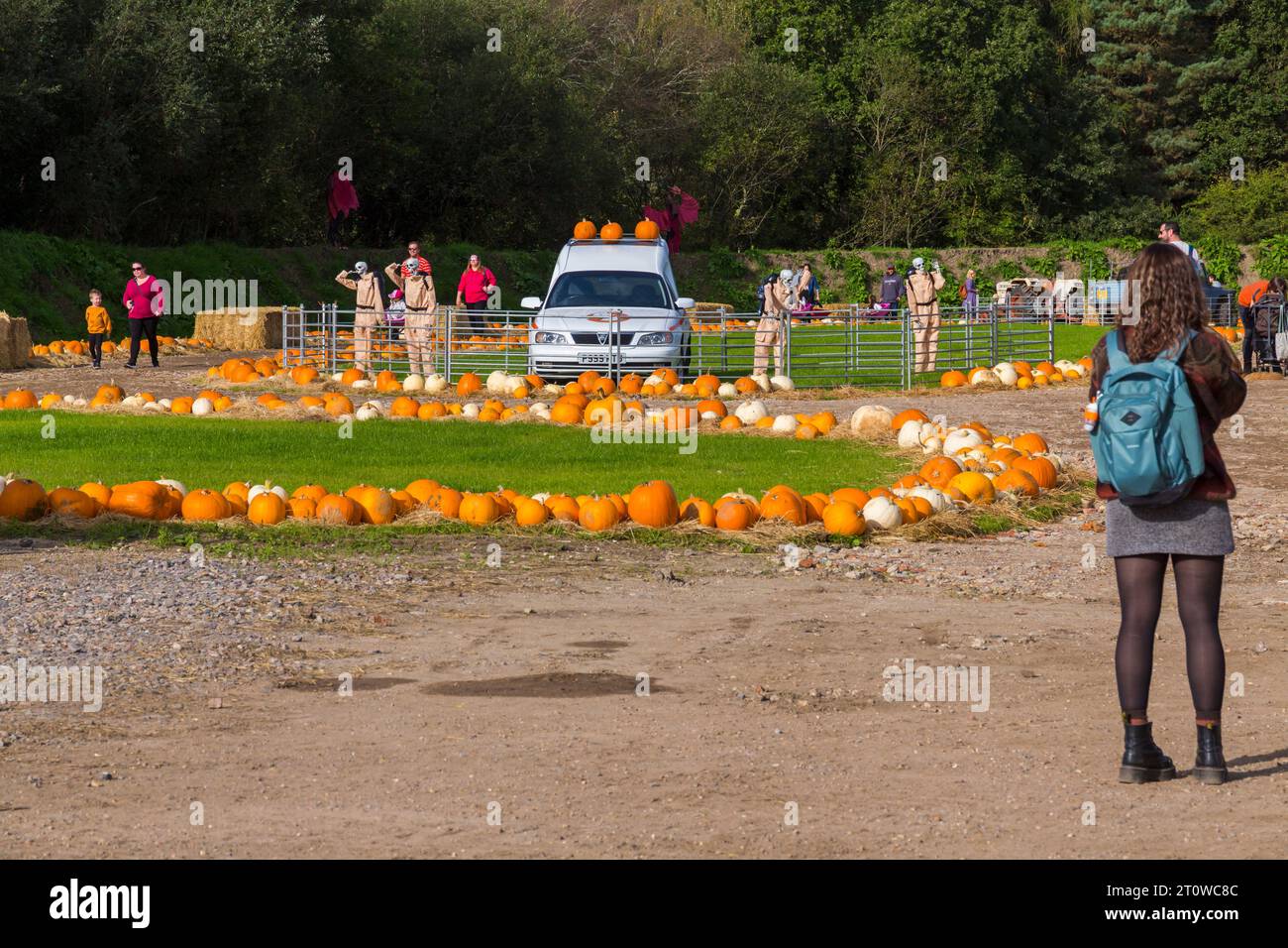 Sunnyfields farm hi-res stock photography and images - Alamy