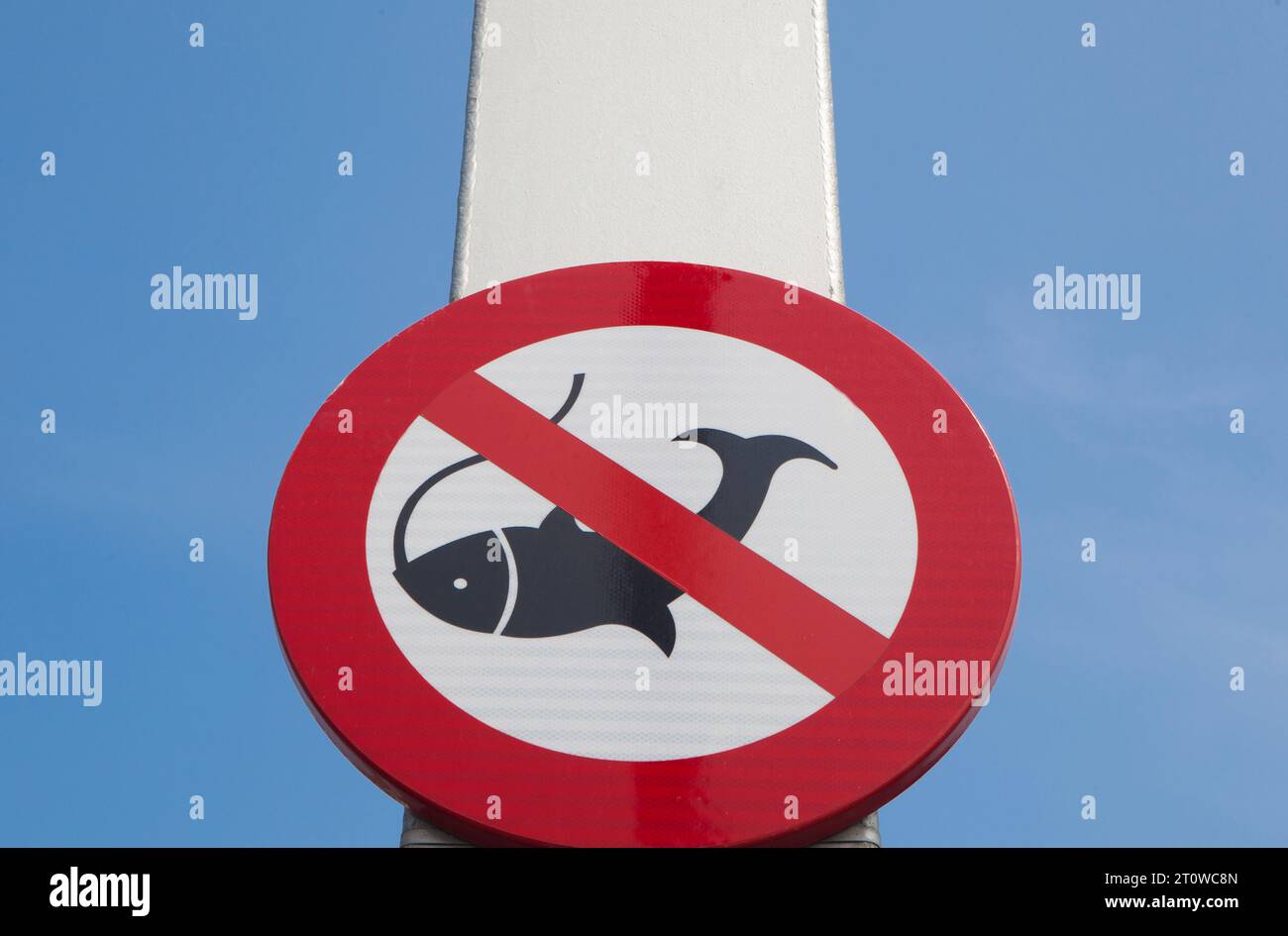 Sporting angling practices hi-res stock photography and images - Alamy