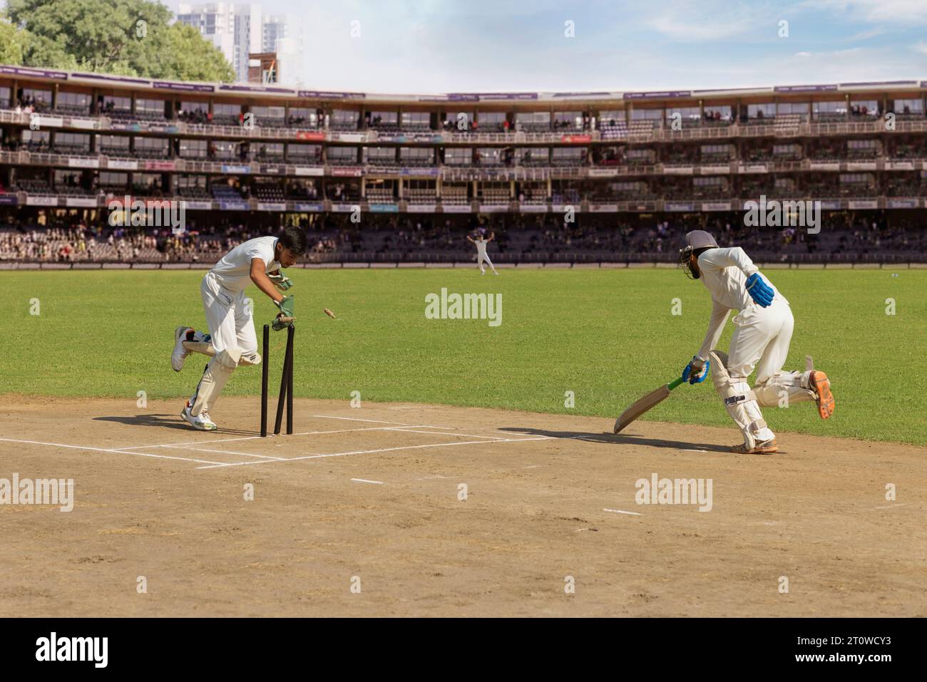 Cricket stump hi-res stock photography and images - Alamy