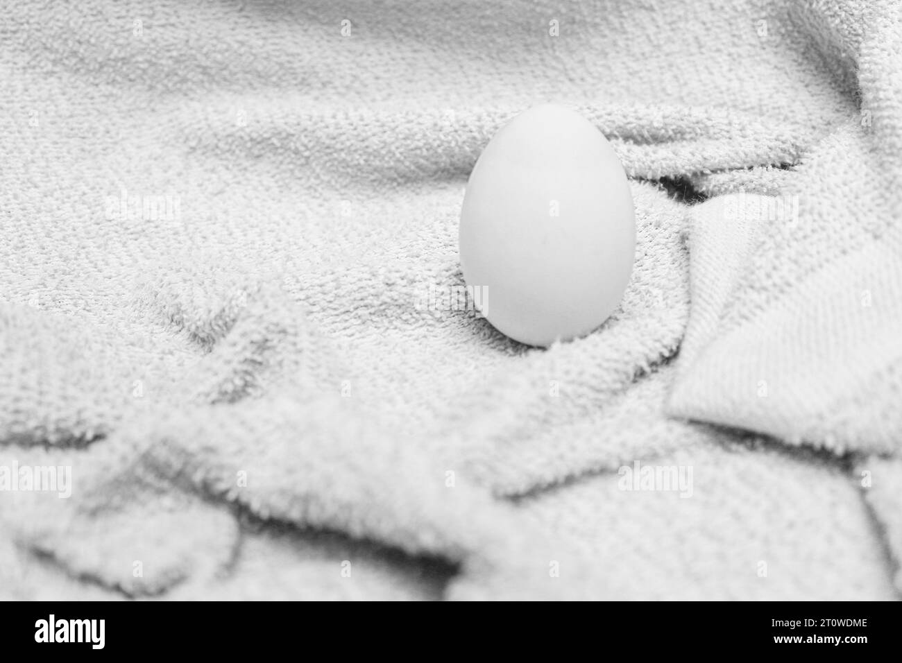 Bright lighting photography Black and White Stock Photos & Images - Alamy