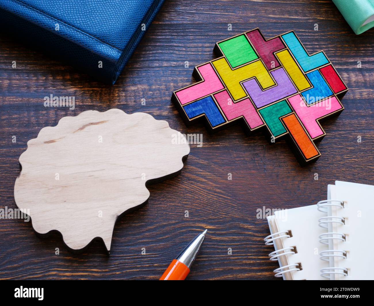 Two different brains as a symbol of neurodiversity or creativity Stock ...