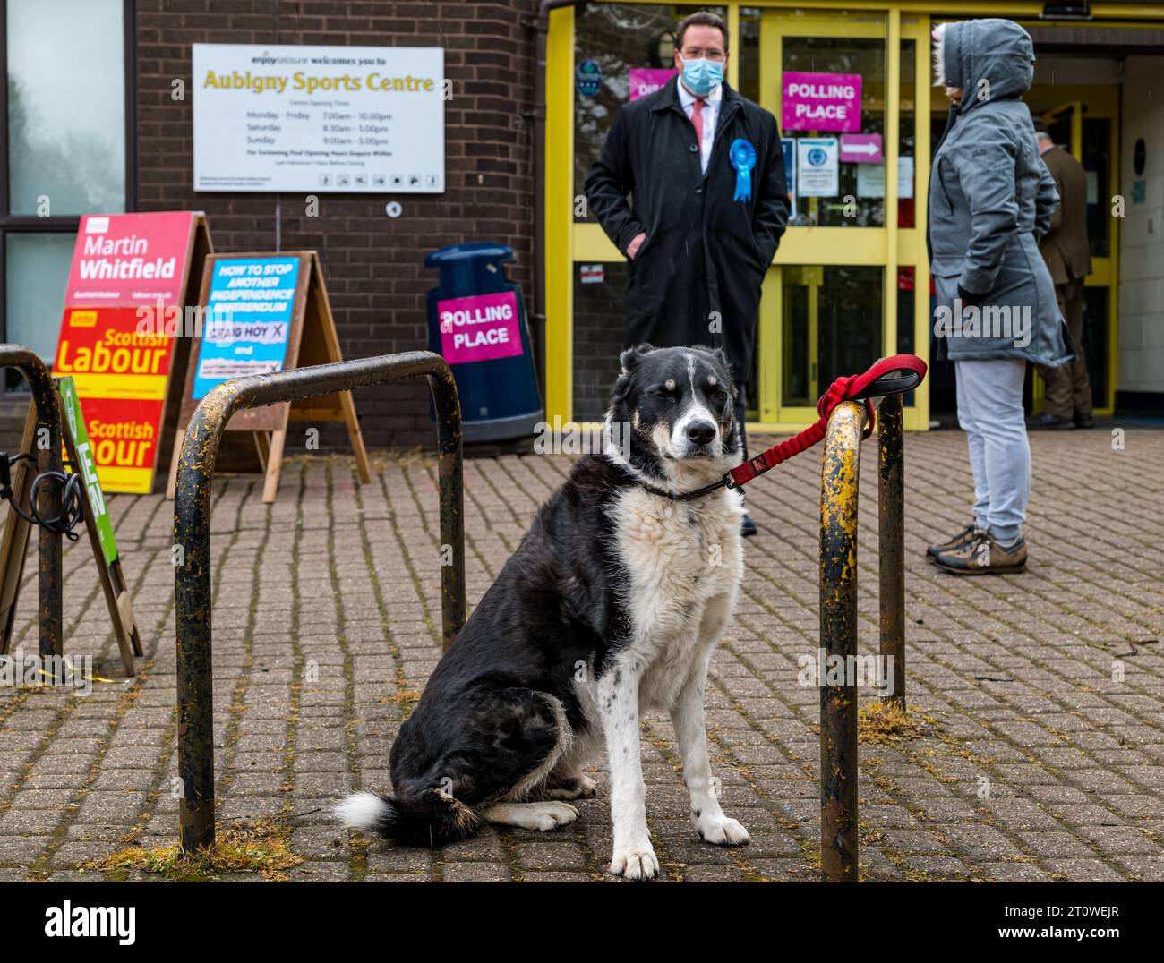 Uk politician dog hi-res stock photography and images - Alamy