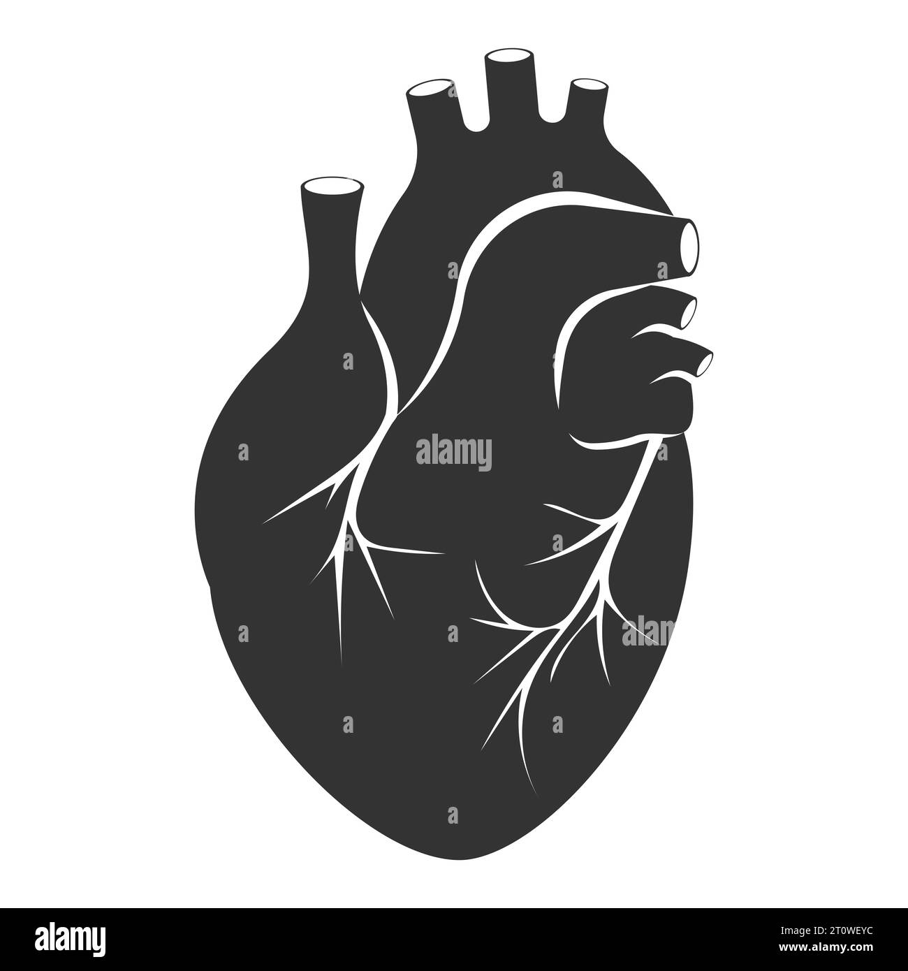 Human heart icon. Anatomically correct heart with venous system icon ...