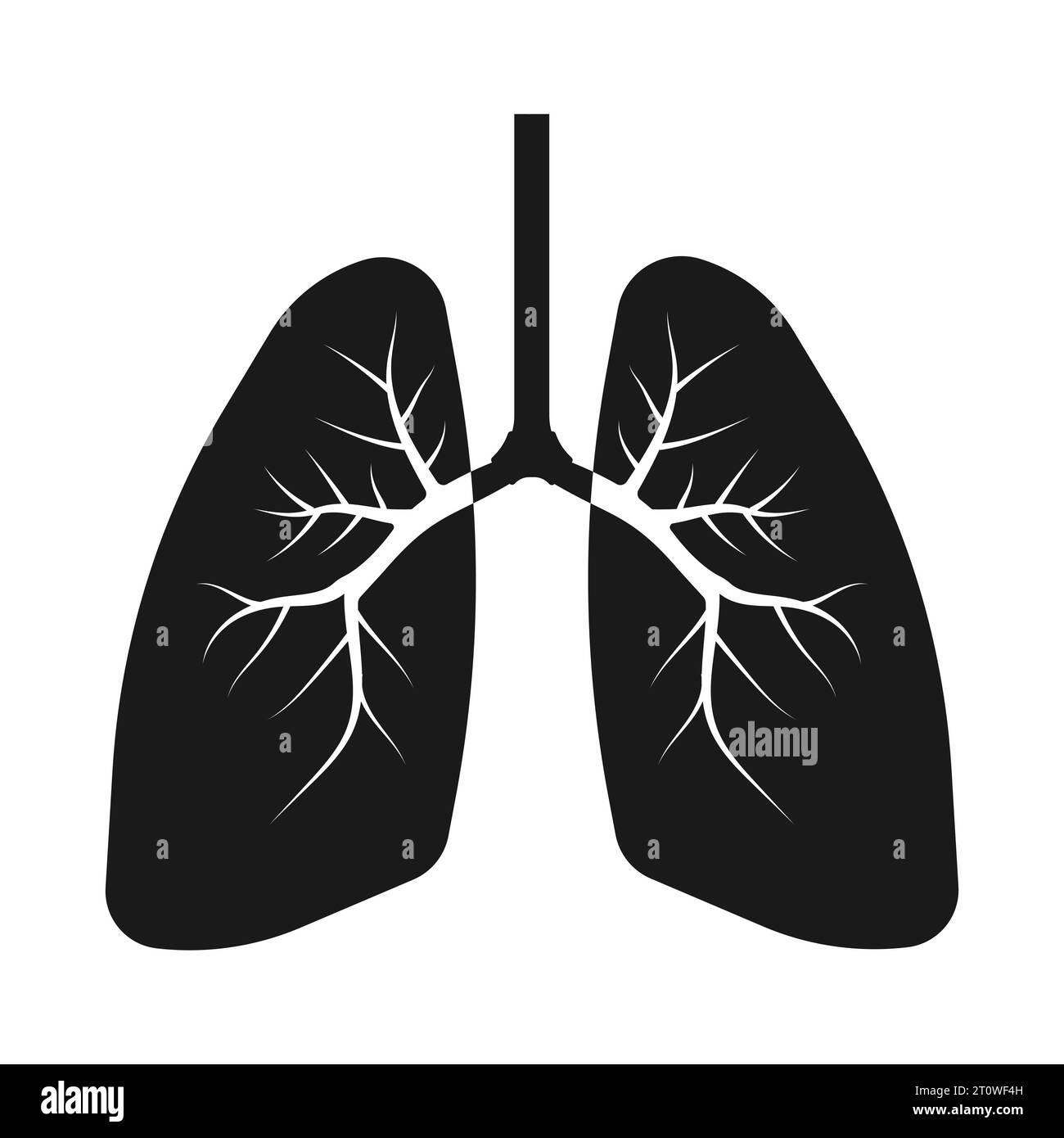 Human lungs icon isolated on white background. Vector illustration. Eps ...
