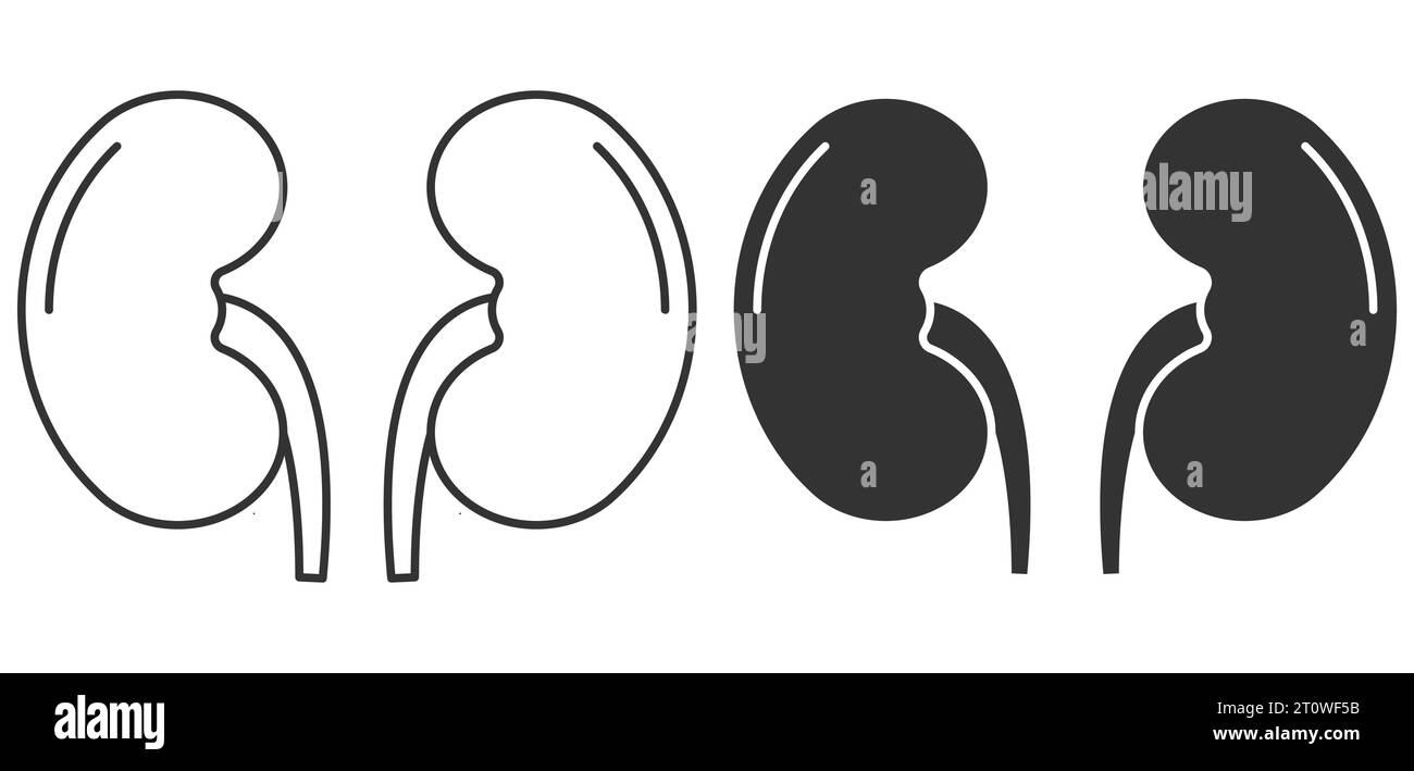 Human kidneys anatomy icon. Vector illustration. Eps 10 Stock Vector Image & Art - Alamy