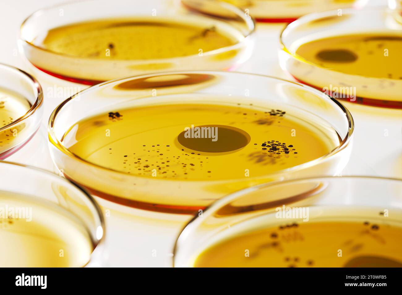 Streptococcus agar hi-res stock photography and images - Alamy