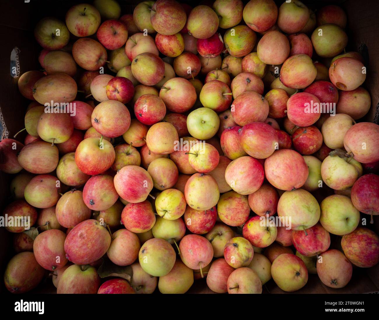 Fruits in a supermarket. Apples Stock Photo - Alamy