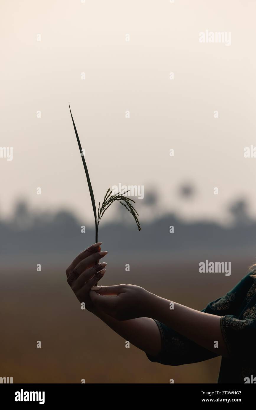 Indian farming country hi-res stock photography and images - Alamy