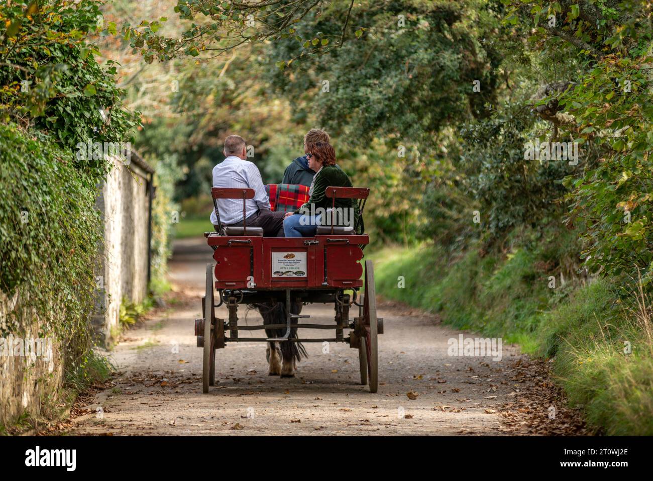 Sark carriage horse hi-res stock photography and images - Alamy