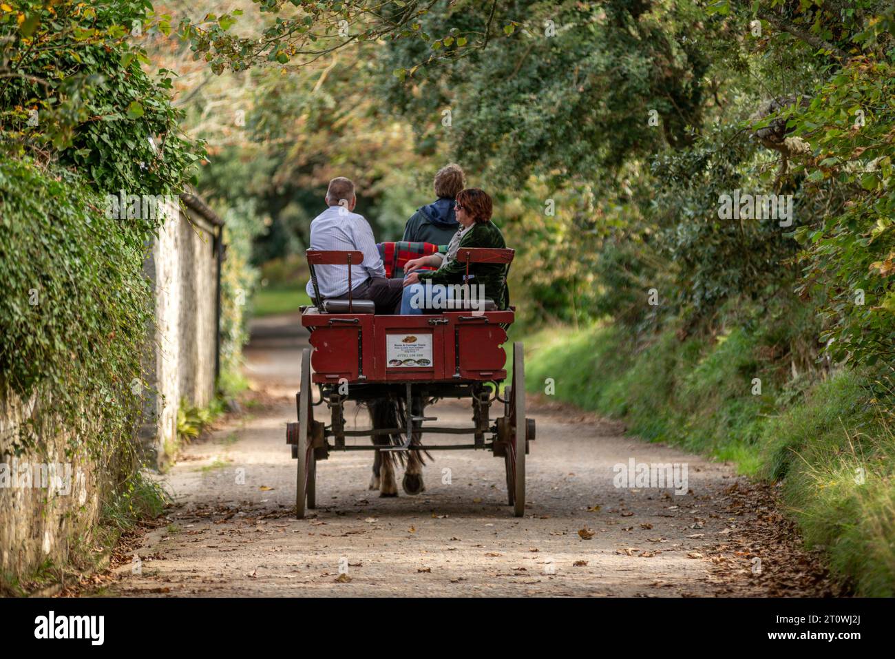 Horse carriage sark channel islands hi-res stock photography and images ...