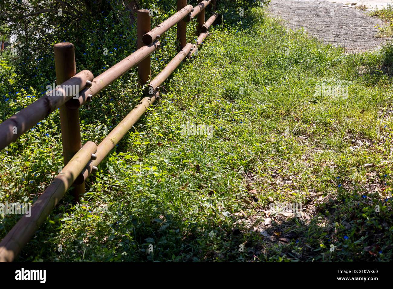 A wood-fenced entrance to the forest, a peaceful grass path Stock Photo ...