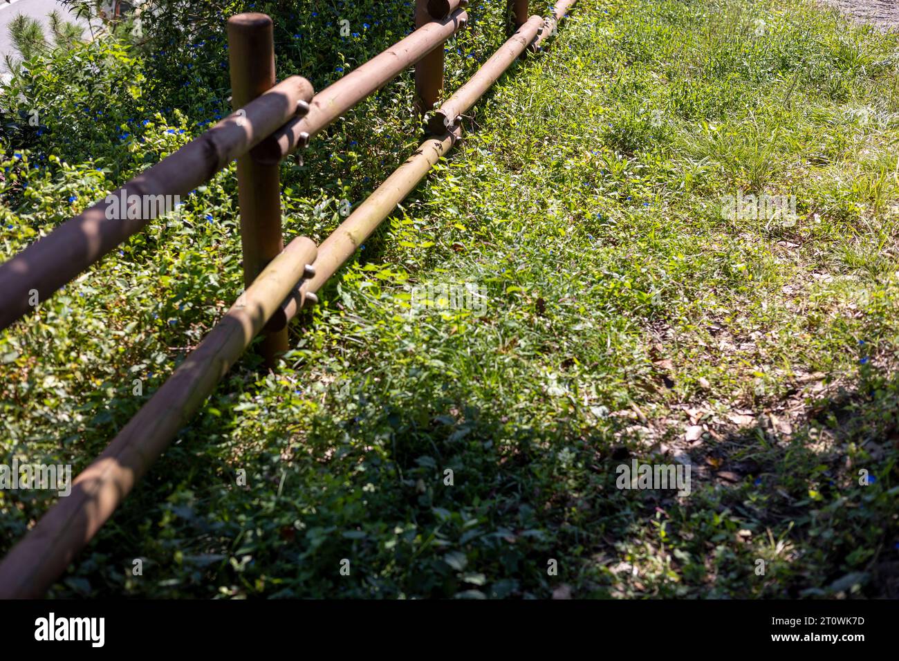 A wood-fenced entrance to the forest, a peaceful grass path Stock Photo ...