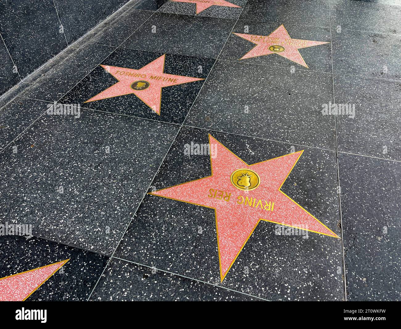 Los Angeles, California, USA; January 15, 2023: The stars on the Los ...