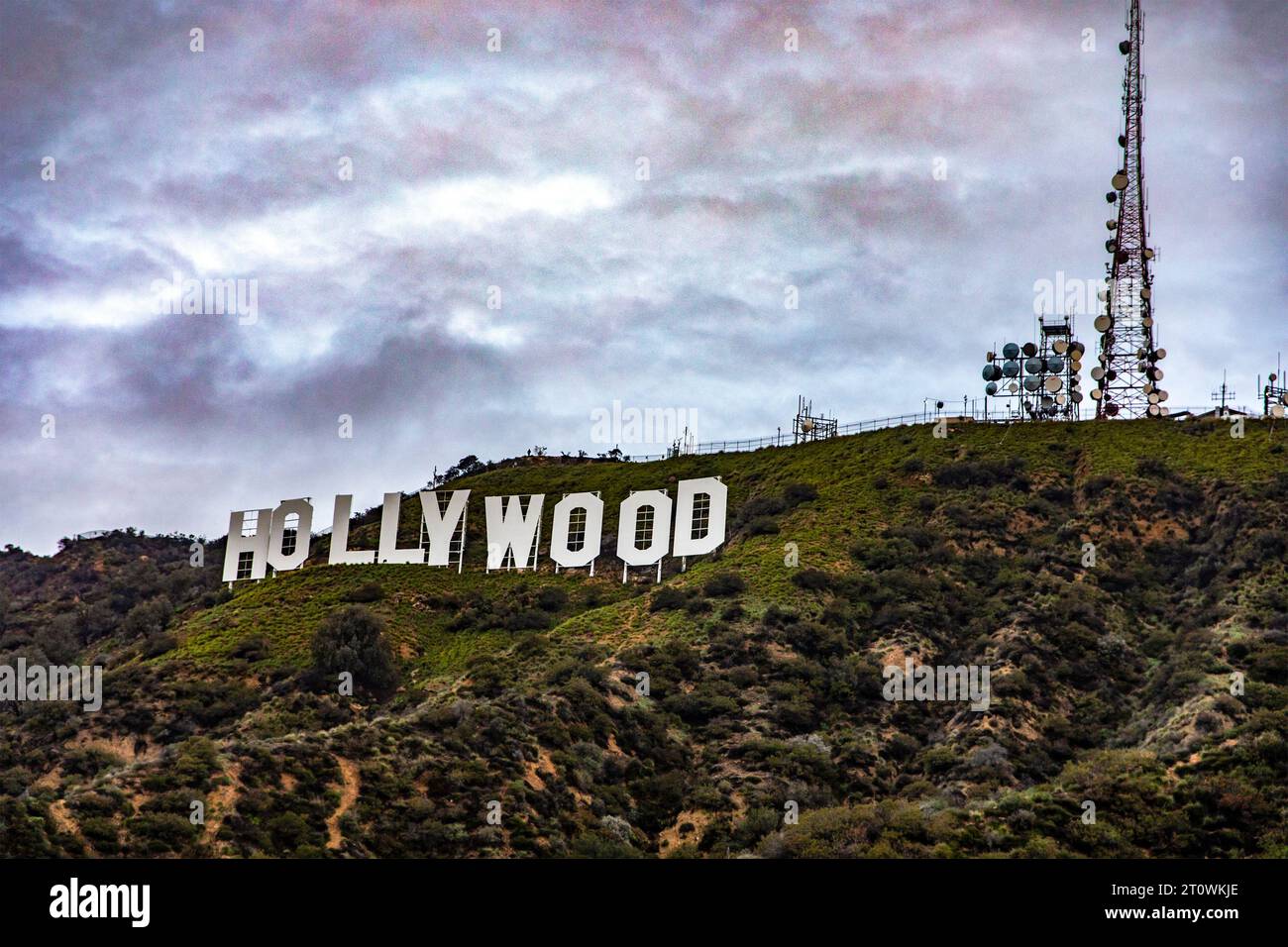 Netter known hi-res stock photography and images - Alamy