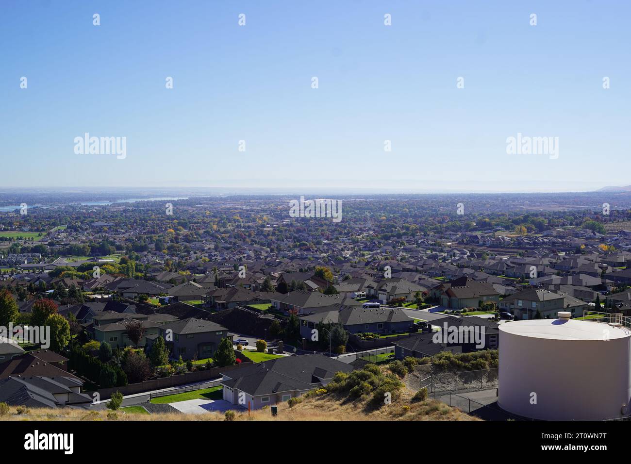 Neighborhood tree canopy hi-res stock photography and images - Alamy