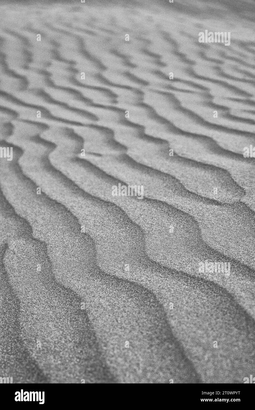 A vertical of sandy dunes of a desert in grayscale Stock Photo - Alamy