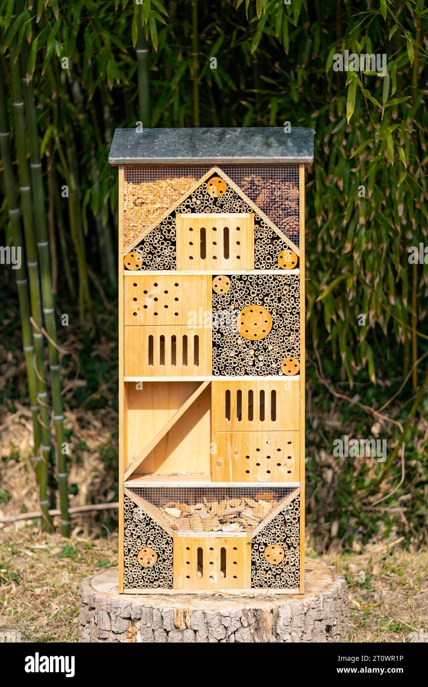 A vertical of a wooden bee hotel Stock Photo - Alamy