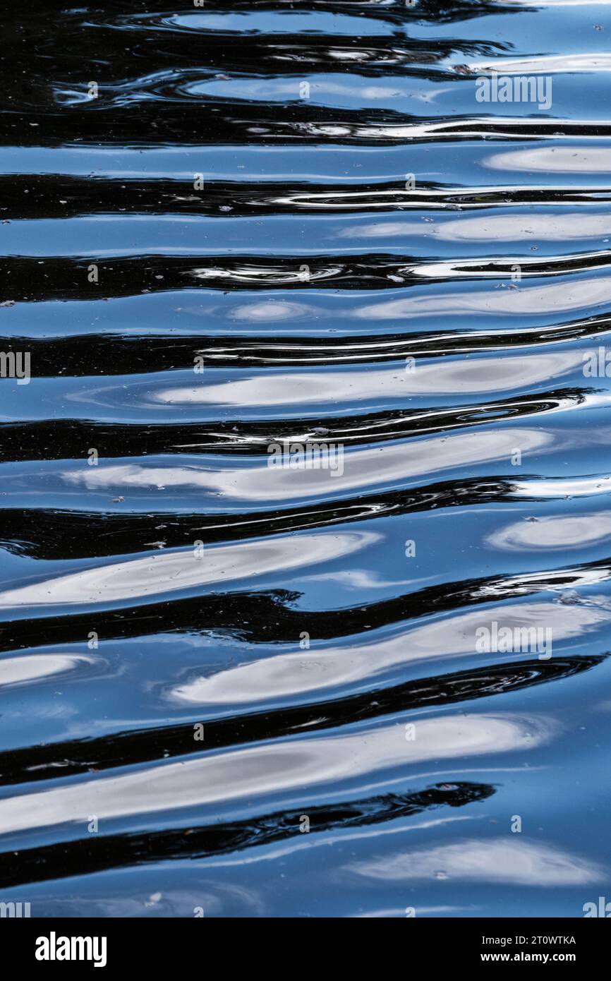 Ripples on the surface of a lake Stock Photo - Alamy