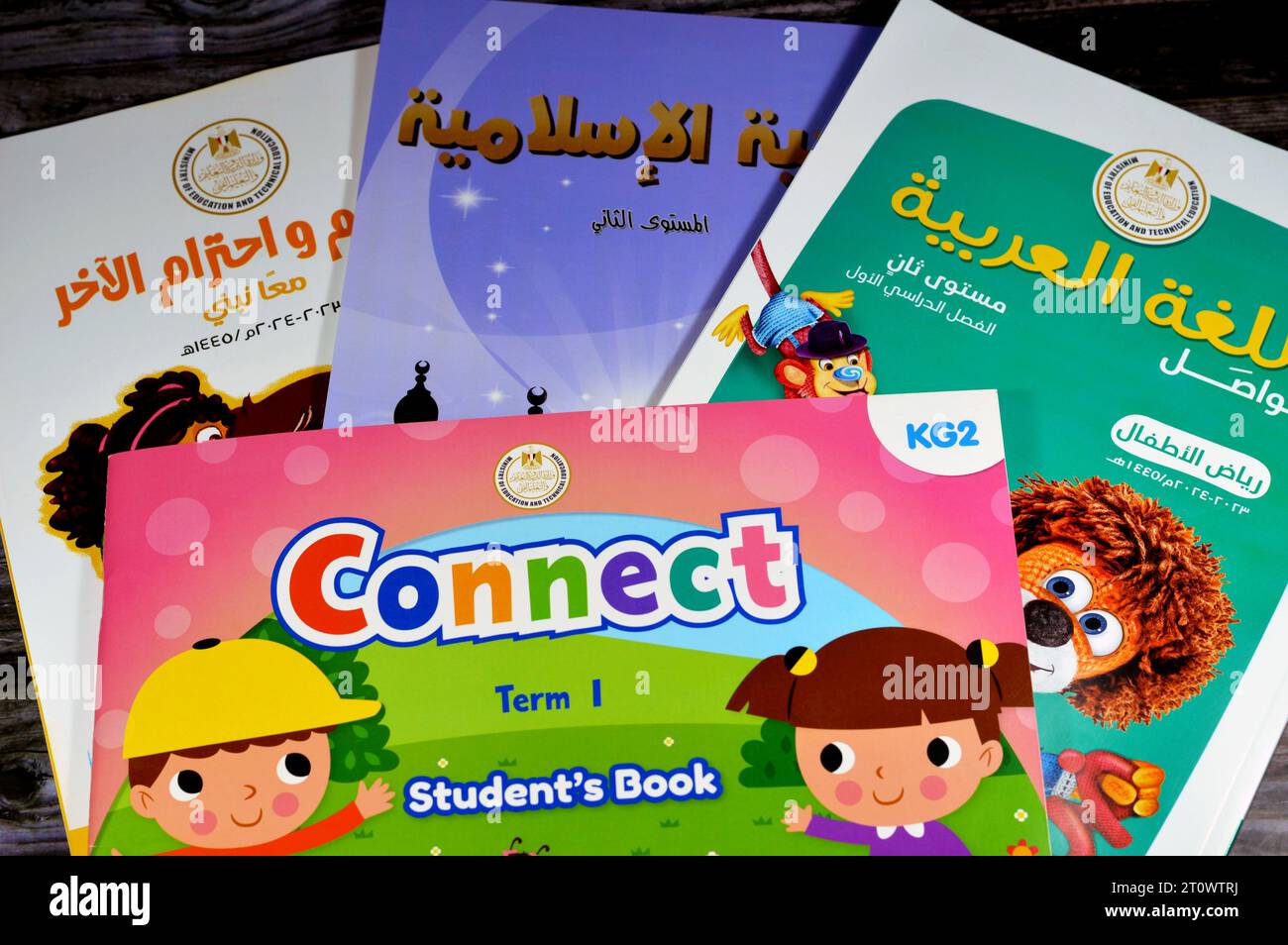 Cairo, Egypt, September 28 2023: collection of various text books, educational books used by ...