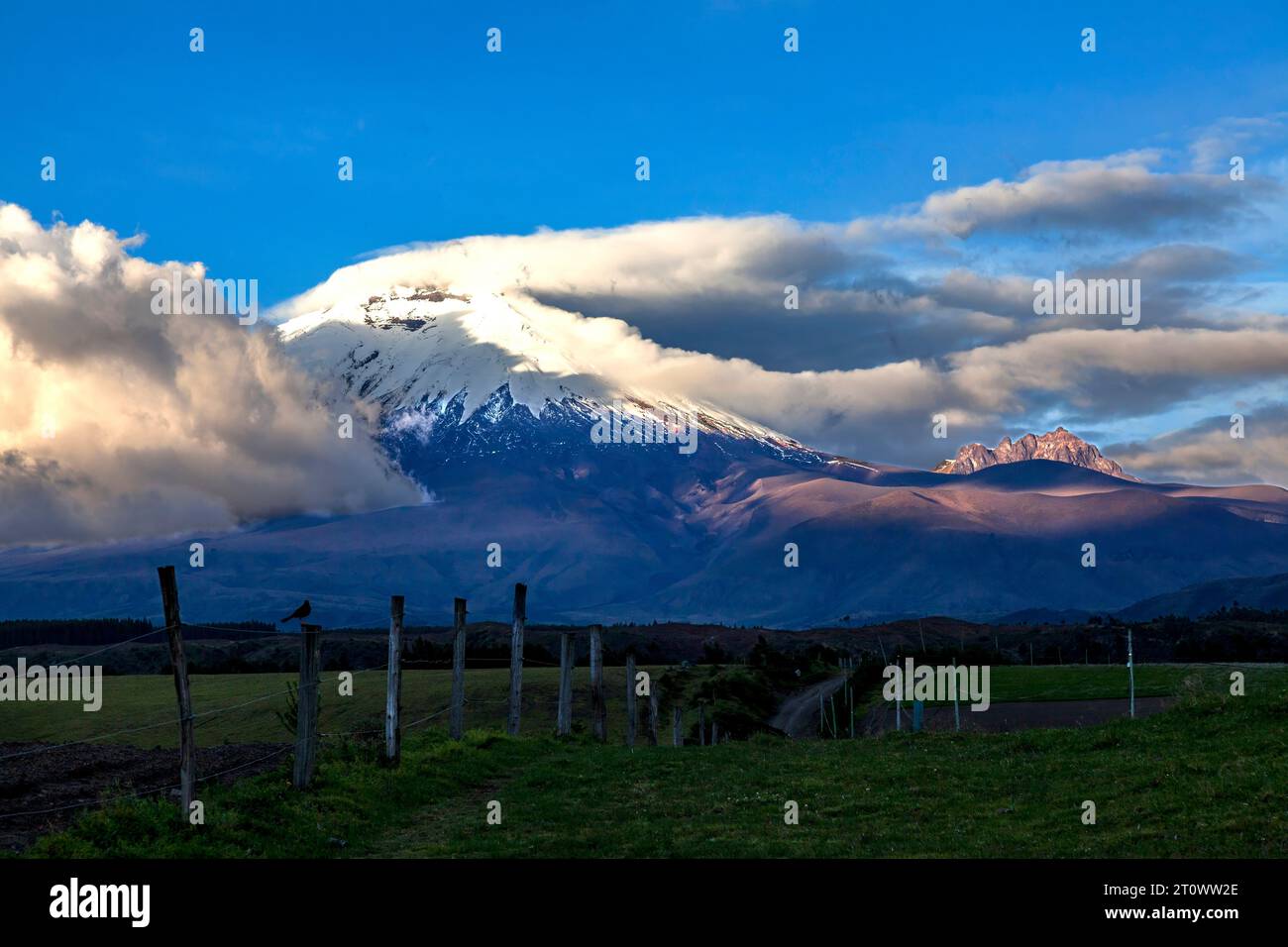 In the highlands south of Quito, Ecuador. Cotopaxi volcano (5,897m ...