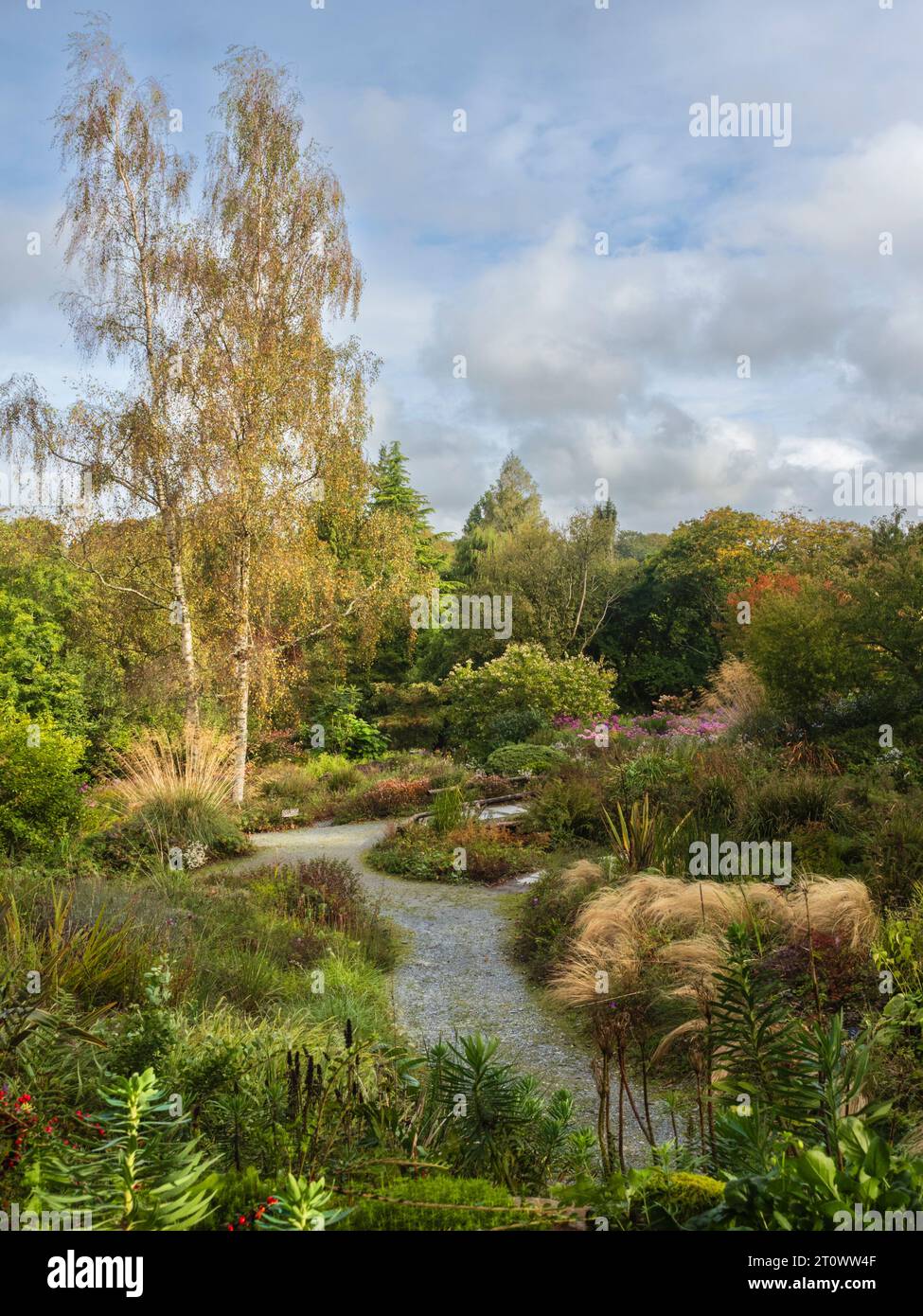 Early autumn view over the quarry and cottage gardens at The Garden ...