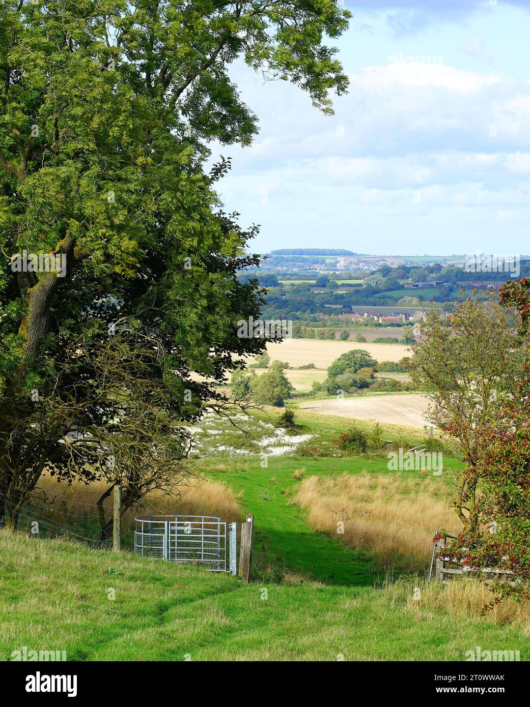 Downland gate hi-res stock photography and images - Alamy