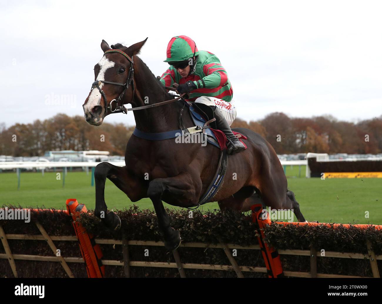 File photo dated 20-11-2021 of Tommy's Oscar, who Ann and Ian Hamilton ...