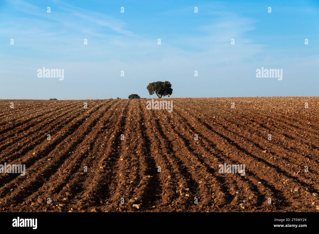 landscape of agriculture fields in spain Stock Photo - Alamy