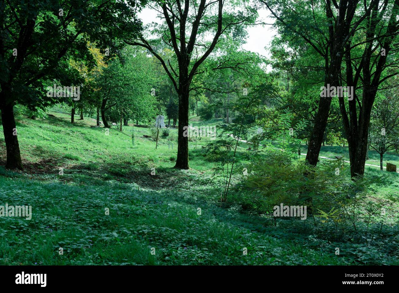 The former site of Fleury-devant-Douaumont that was abandoned and ...