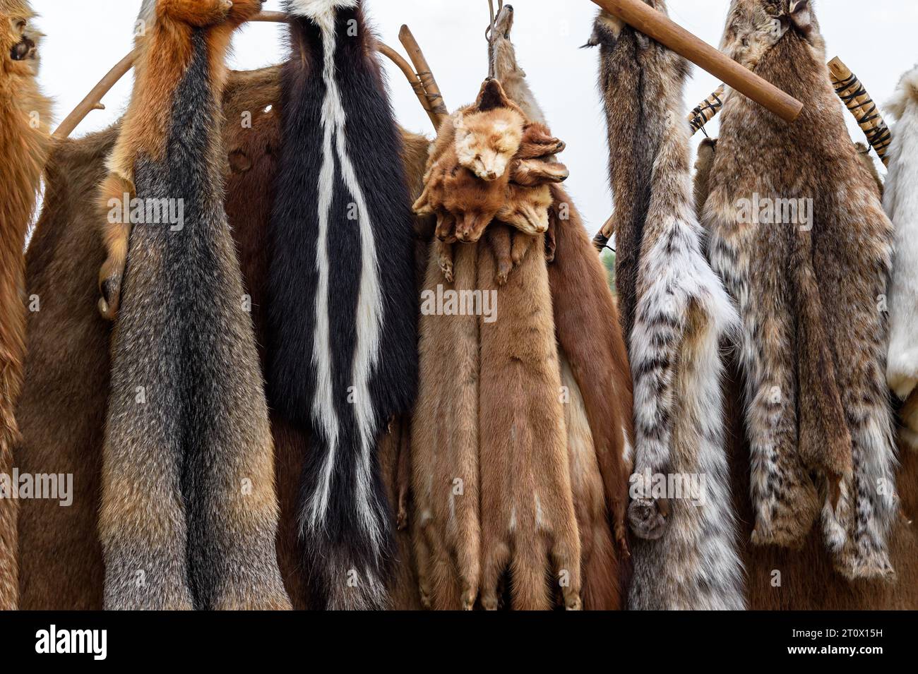 Animal furs hi-res stock photography and images - Alamy