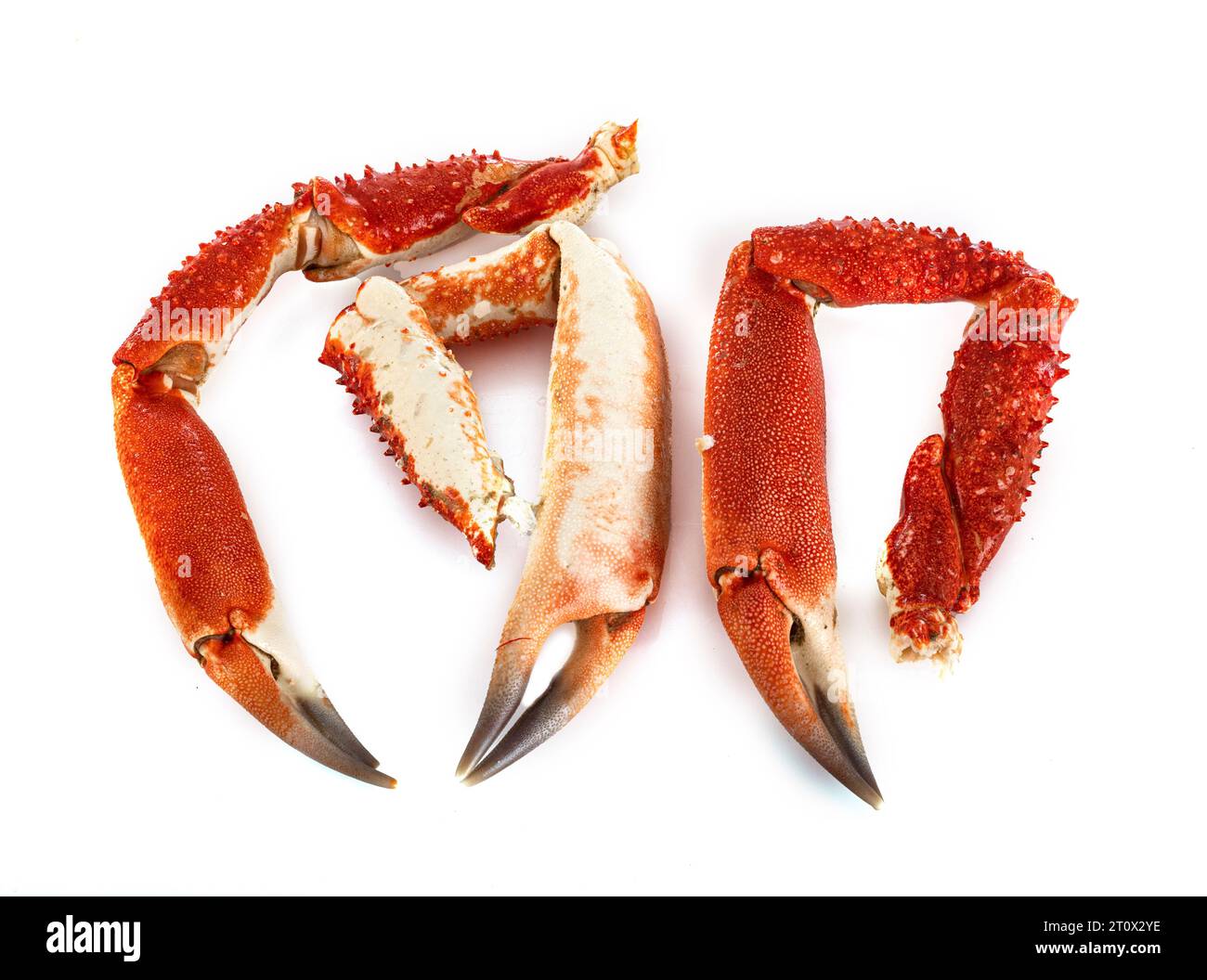 king crab leg in front of white background Stock Photo - Alamy