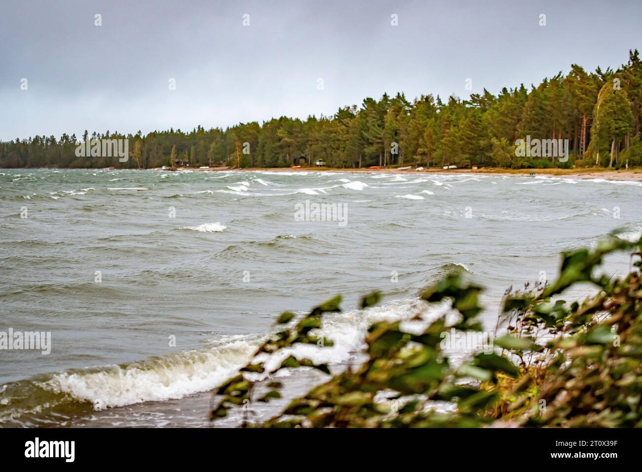 Autumn storm in the archipelago in Finland Stock Photo - Alamy