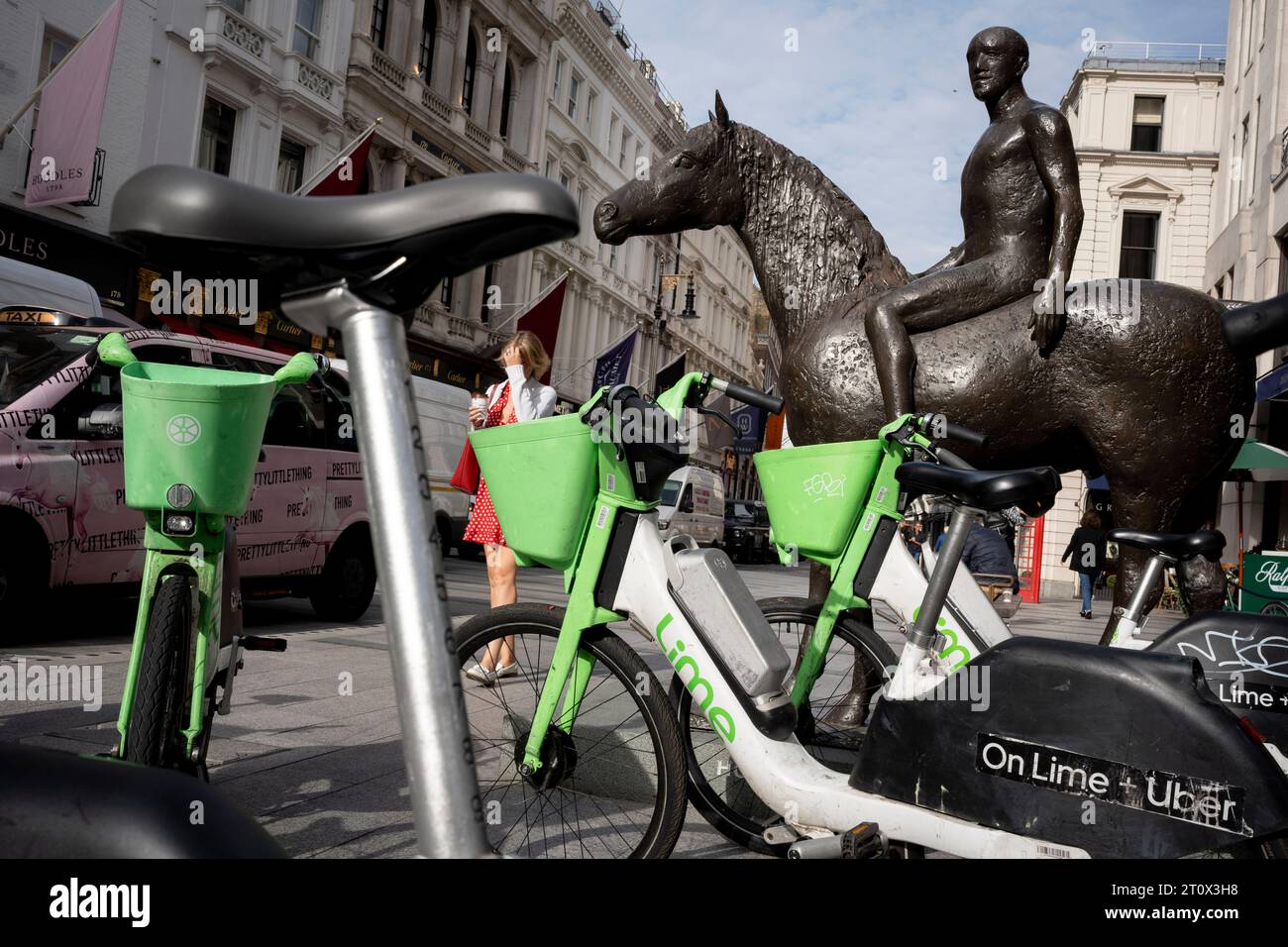 The sculpture entitled Horse and Rider stands above a collection of ...