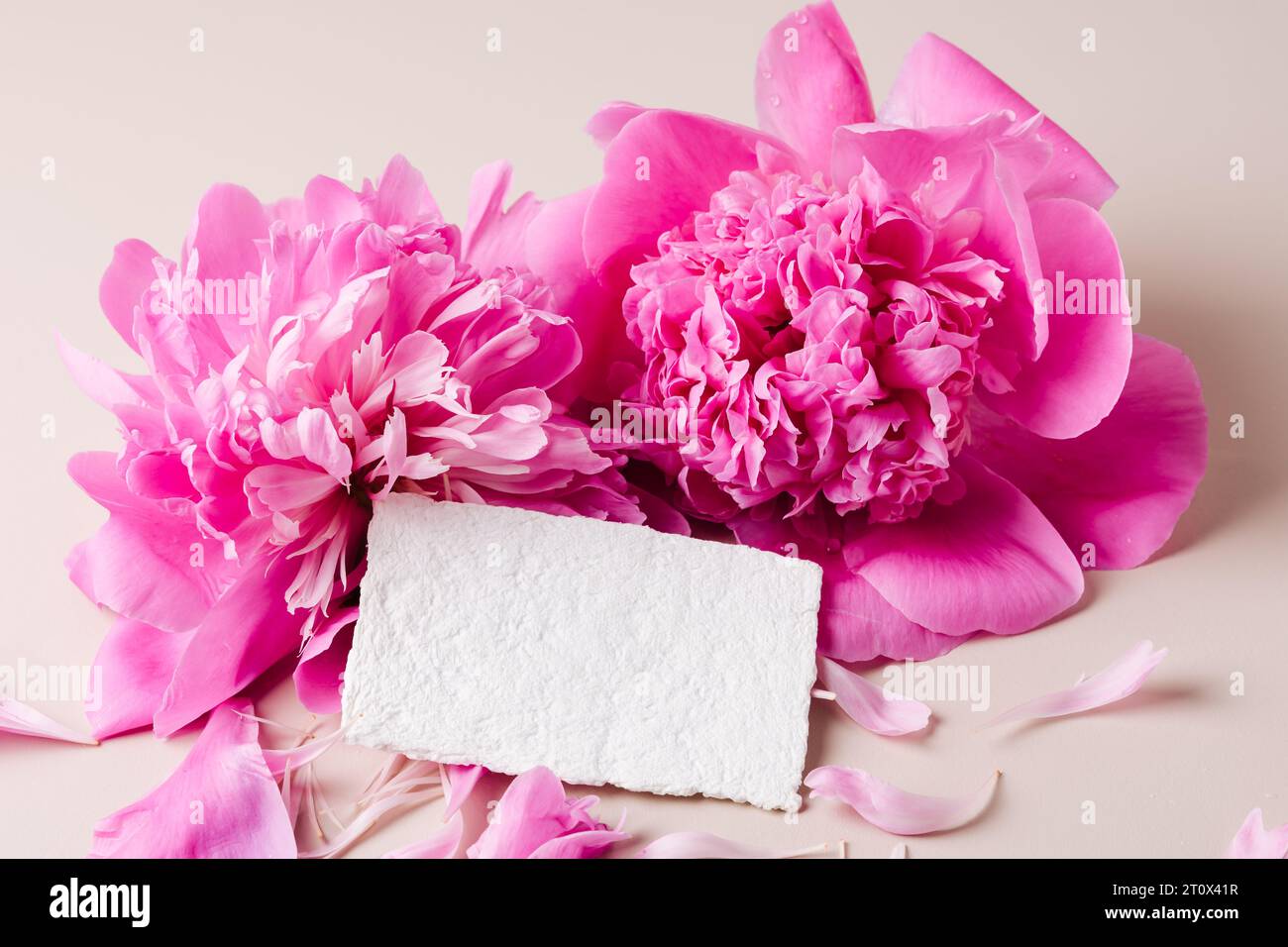 Pink peony flowers, handmade paper card, mockup Stock Photo - Alamy