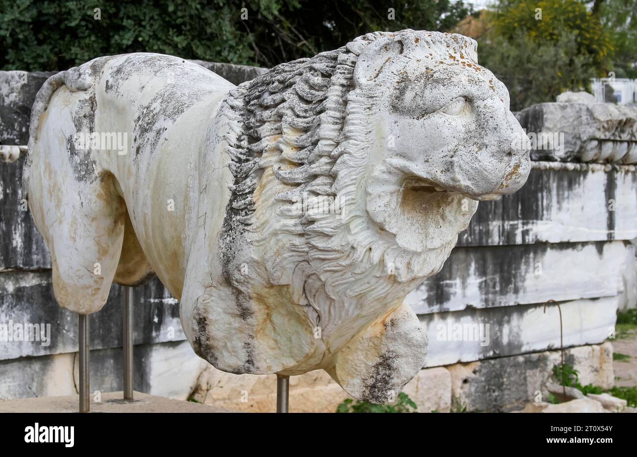Lion statue, Temple of Apollo, Didyma, Turkey Stock Photo - Alamy