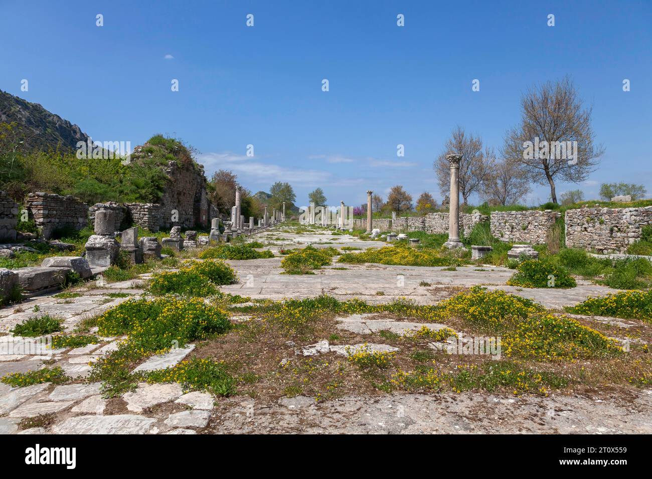 Arcadian, harbour road, ancient excavation site of Ephesus, Izmir ...