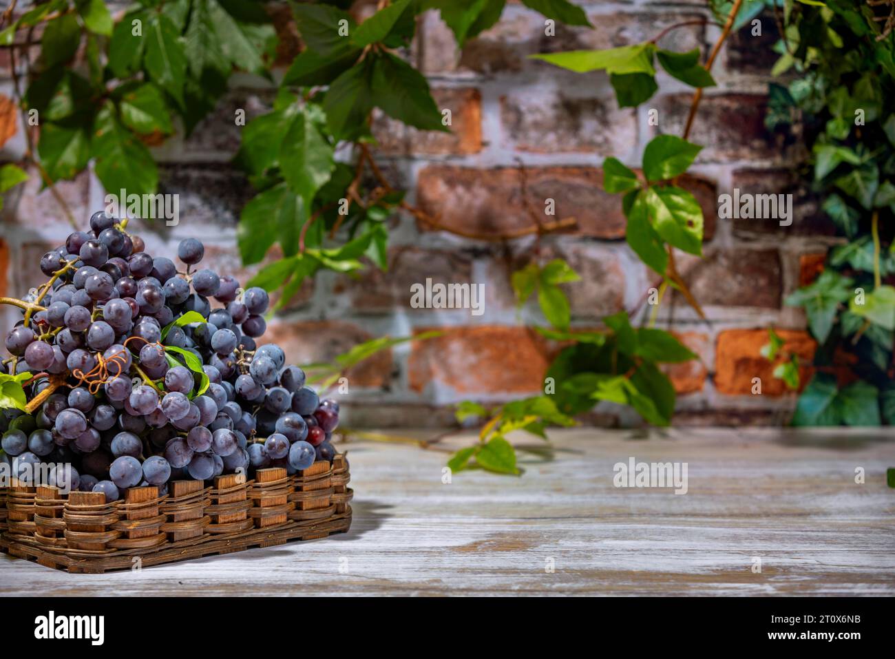 Blue burgundy grapes in baskets in front of brick wall with leaves ...