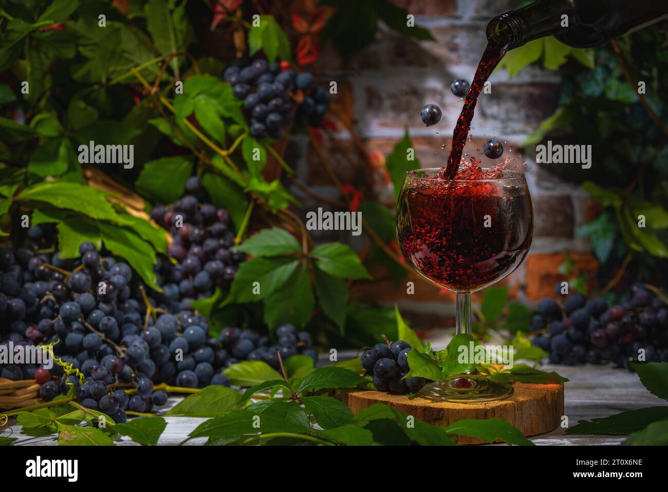 Pouring wine into glass surrounded by blue burgundy grapes in front of ...