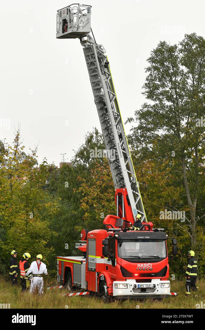 Finding insects hi-res stock photography and images - Alamy