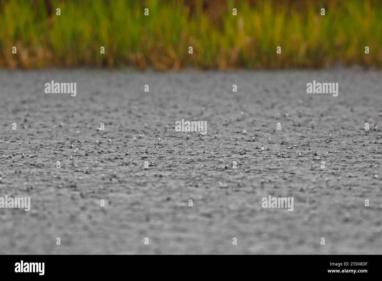 Heavy rain on the Trebel River, severe weather, Peene Valley River ...