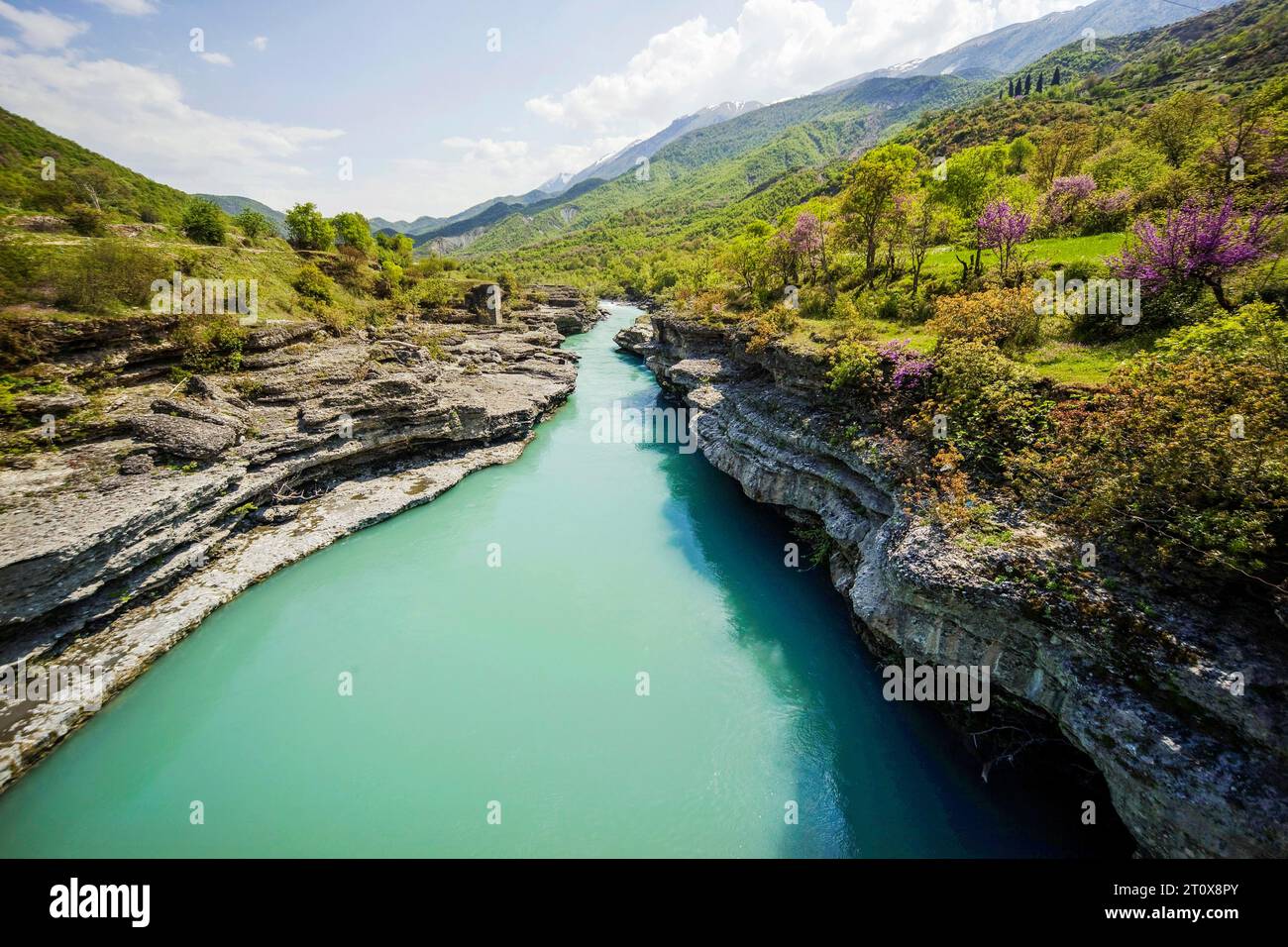 Valley of the Vjosa, the Vjose is one of the few larger natural rivers ...