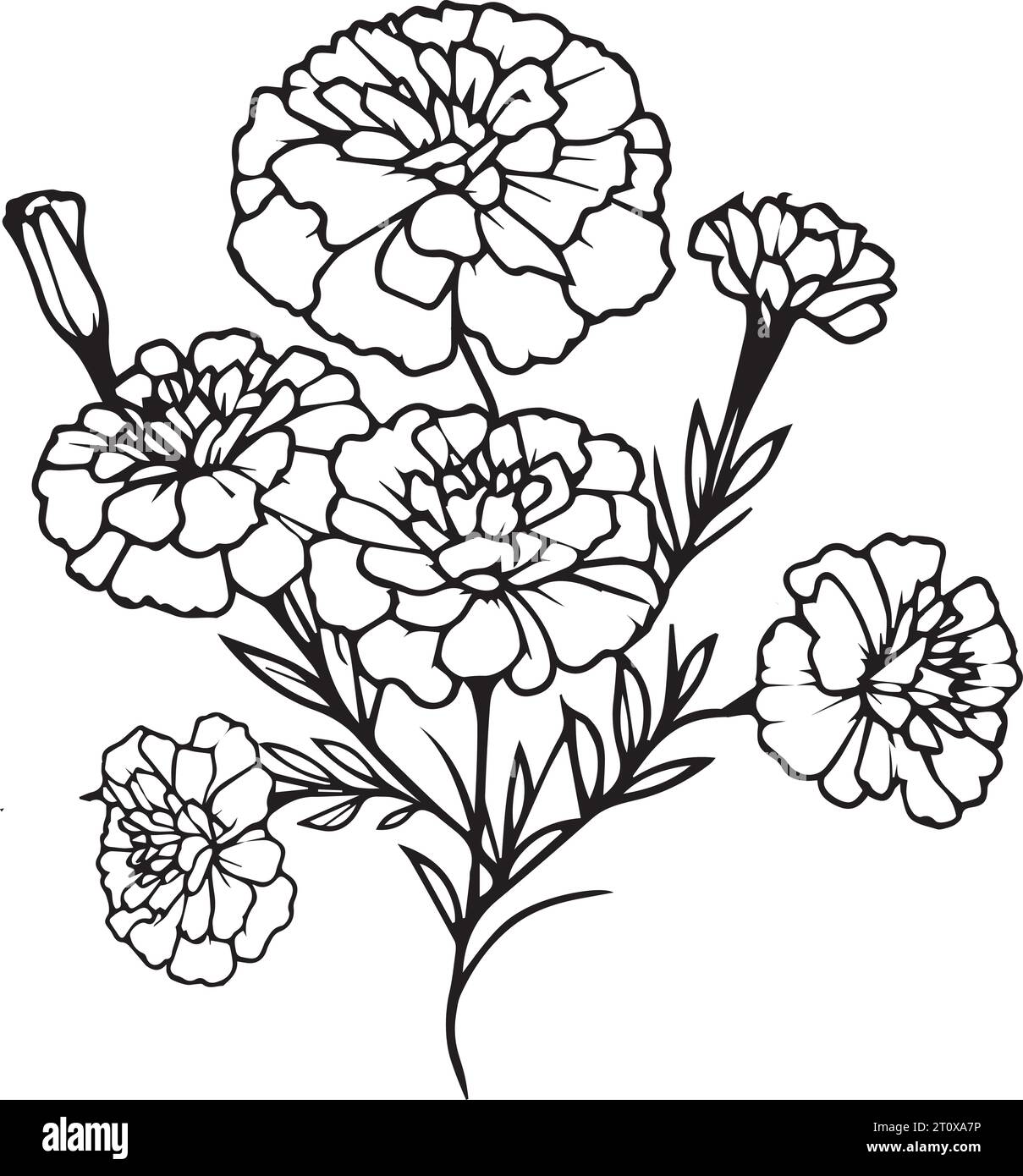 Birth flower october Stock Vector Images - Alamy