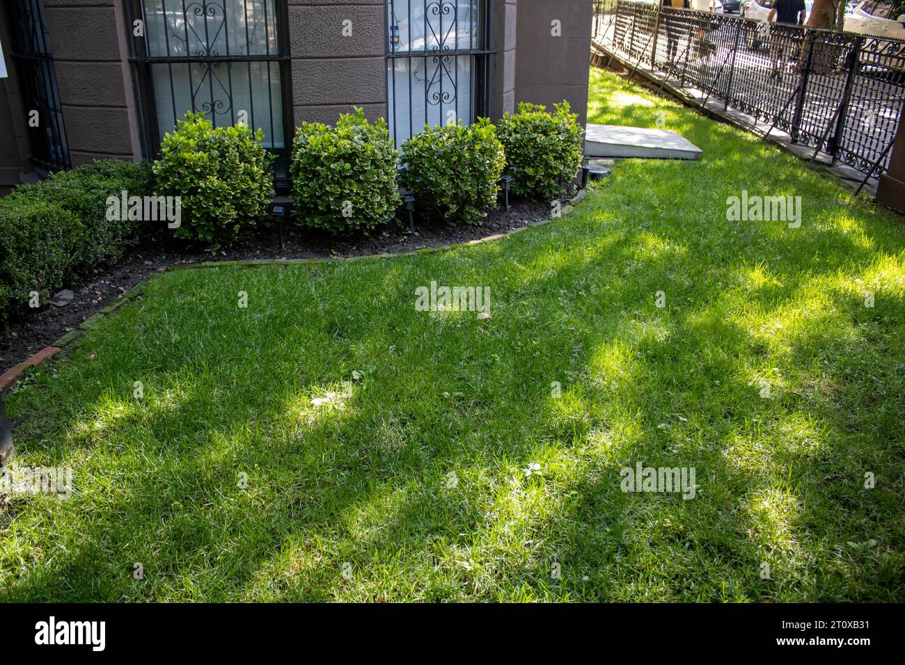 A scenic view of green plants behind a fence in a city Stock Photo - Alamy